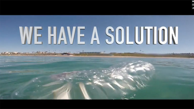 Video – One World One Ocean