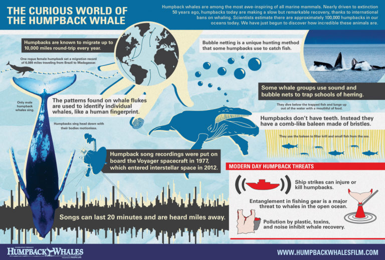 Infographic – One World One Ocean